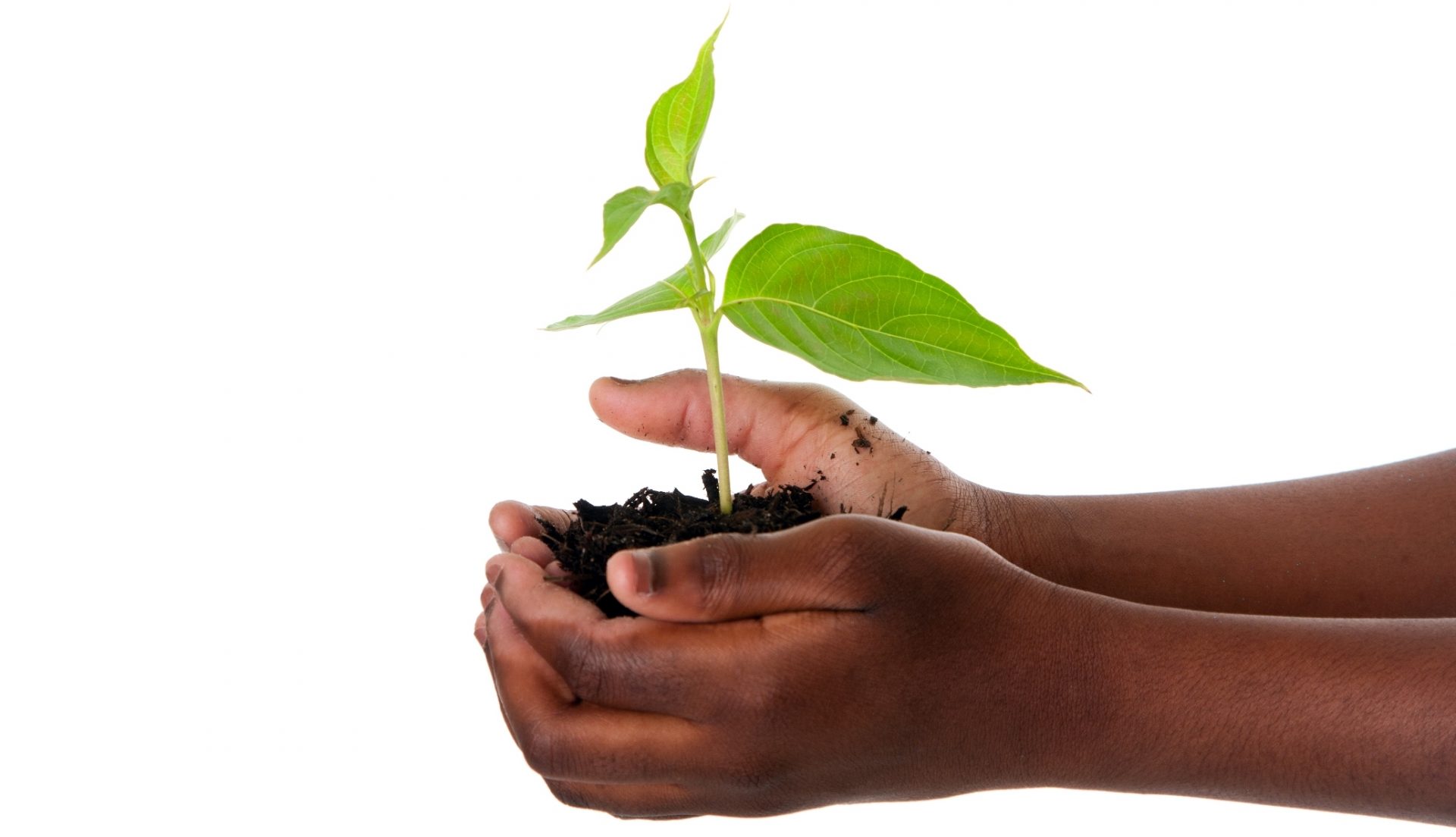 FoodTech – Retaste